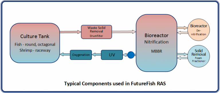 Recirculating Aquaculture System – FutureFish Aquaculture
