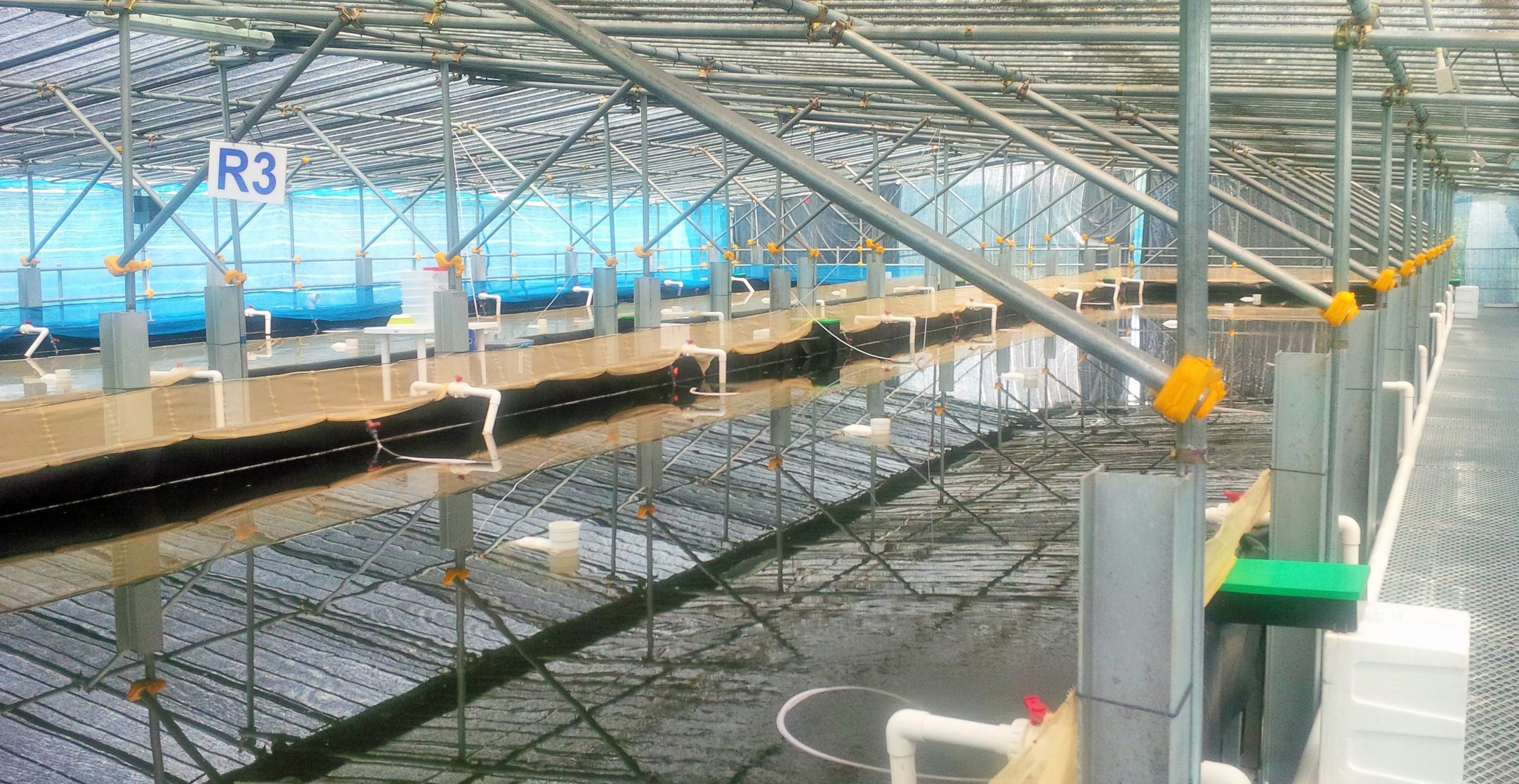 Aquaculture Engineering And Farm Design - Design Talk